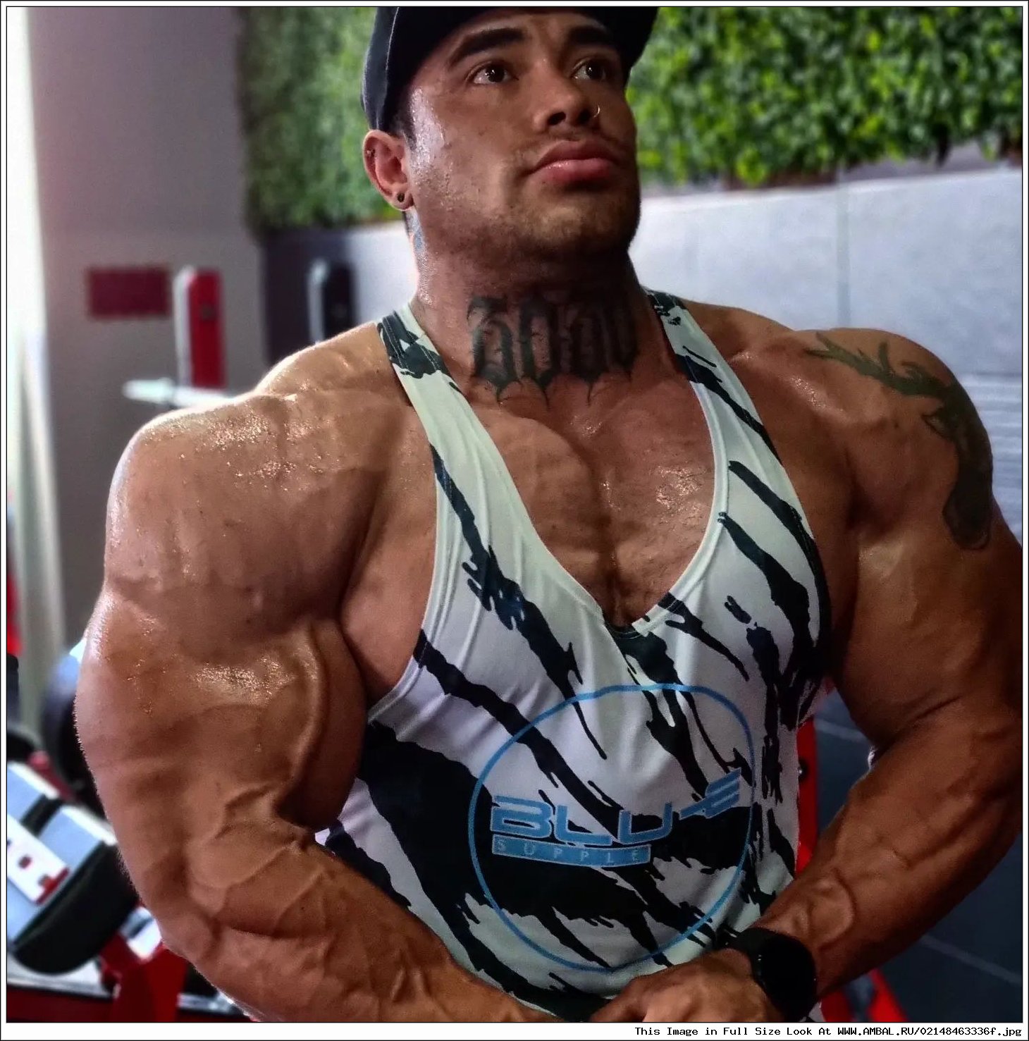 Эммануэль Лонгория (Emmanuel Longoria), фотографии, биография ...