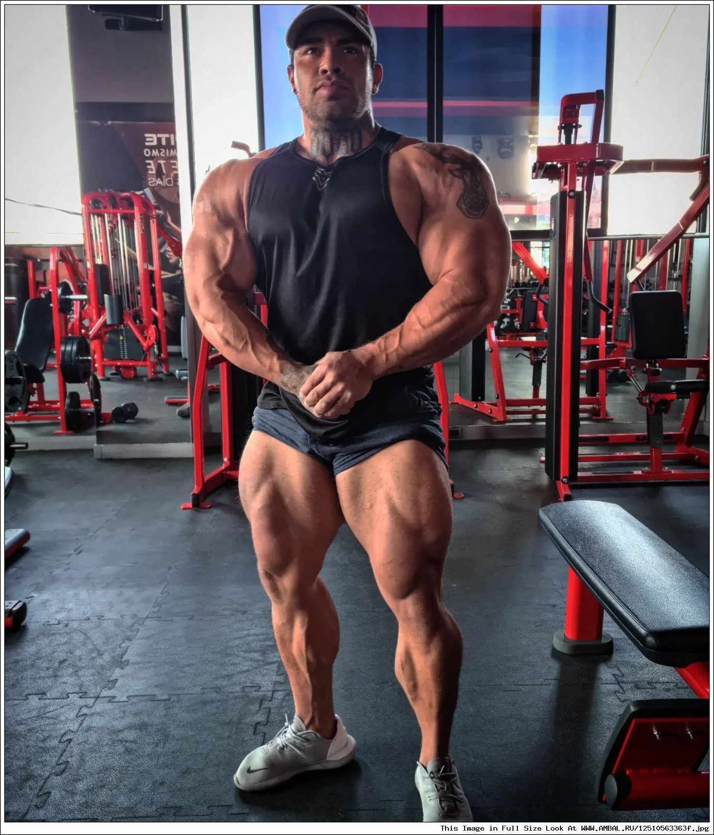 Эммануэль Лонгория (Emmanuel Longoria), фотографии, биография ...