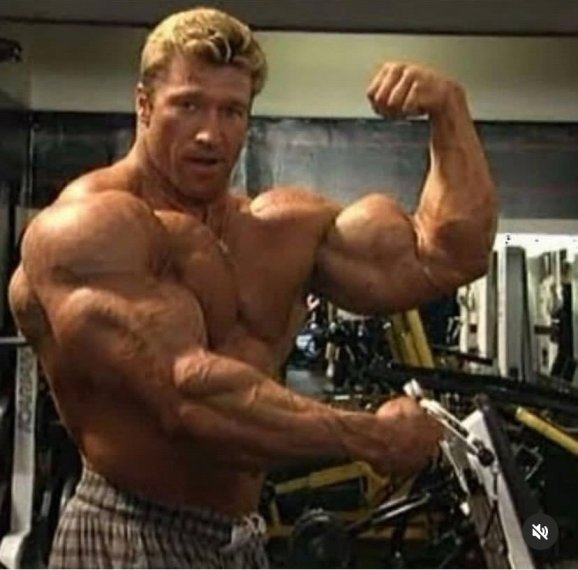 Гюнтер Шлиеркамп (Gunter Schlierkamp), фотографии, биография ...